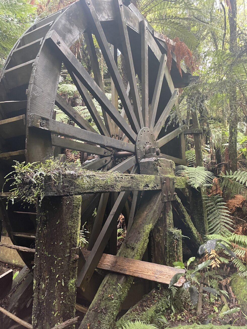 Gold Tours in New Zealand | The Sluicers